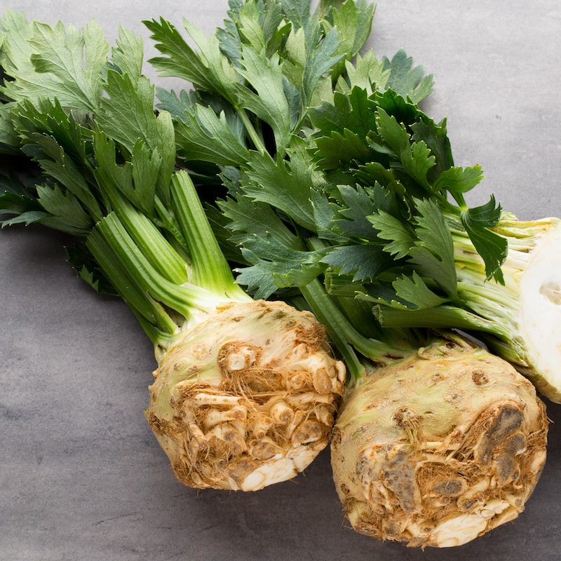 Plant de Céleri bio - Fleurs de Verveine